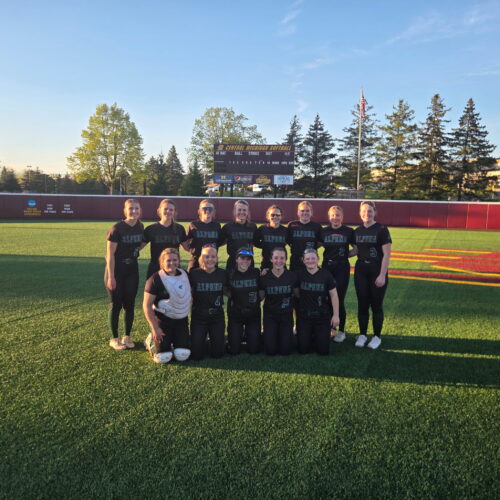 Wildcats’ softball team receives honors | News, Sports, Jobs - The ...